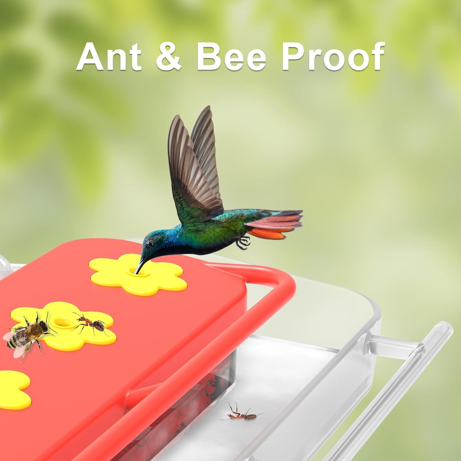 Introducing Our New Ant & Bee Proof Hummingbird Feeder Accessory! – OnlyFly