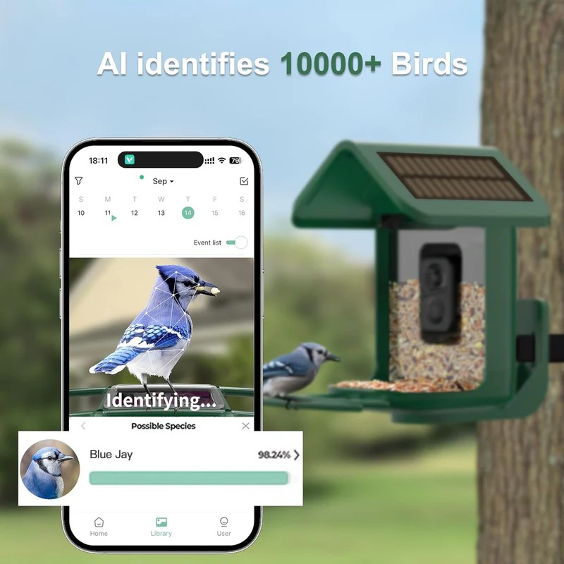 A Summer Birdwatching Guide Introduction – OnlyFly